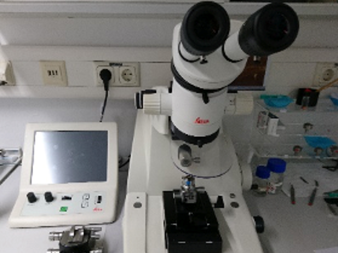 Ultrastructural-EM Tissue Embedding | er-c