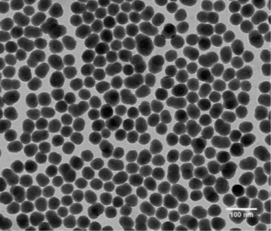 Ultrastructural-EM Visualization and Quantitative Measurements | er-c