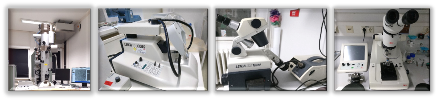 Ultrastructural EM Instrumentation | er-c