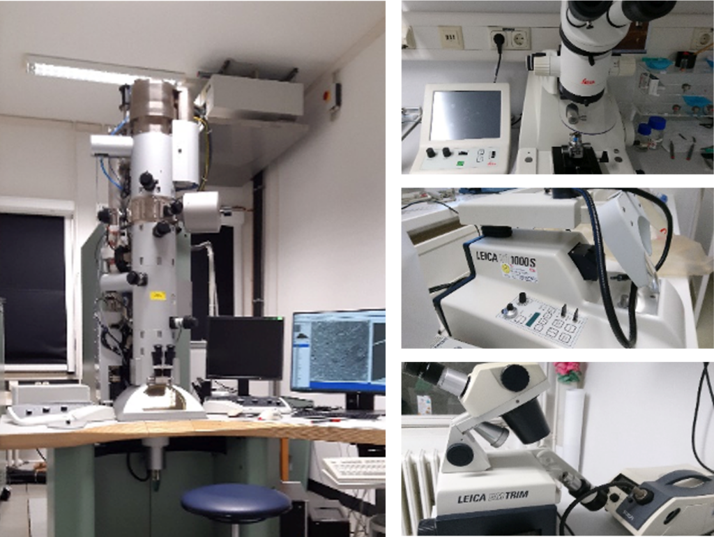 Ultrastructural Electron Microscopy Facility | er-c Ultrastructural Electron Microscopy Facility | er-c