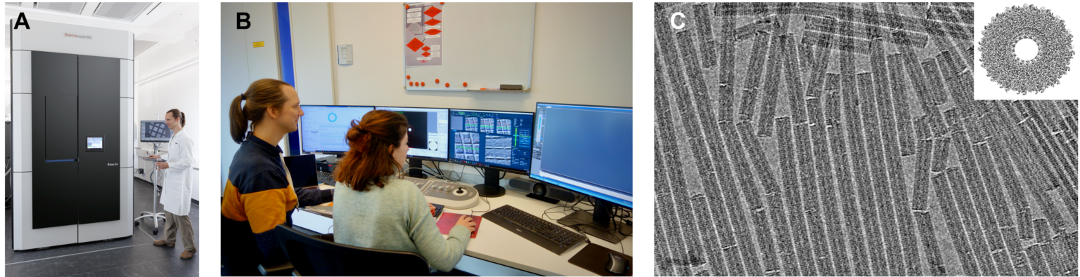 TFS Titan Krios G4 | er-c