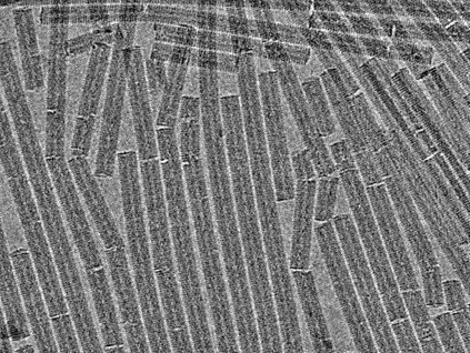 Sample Visualization | er-c